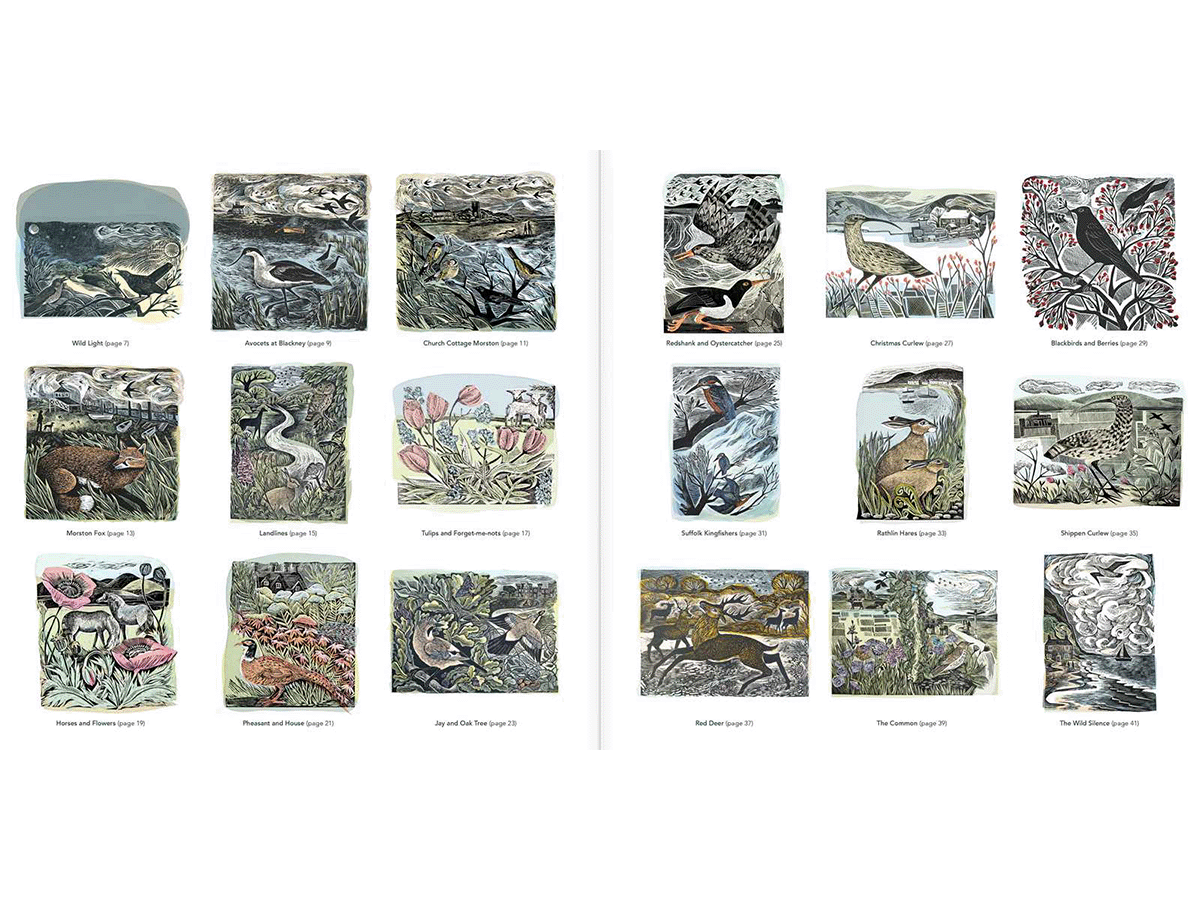 Angela Harding Coloring Book – Noteworthy Paper & Press