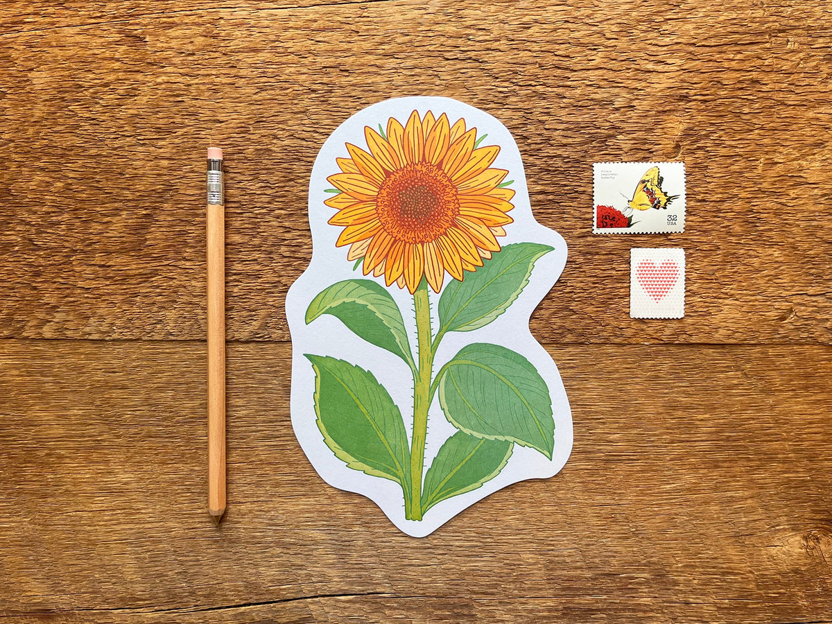 Sunflower Postcard – Noteworthy Paper & Press