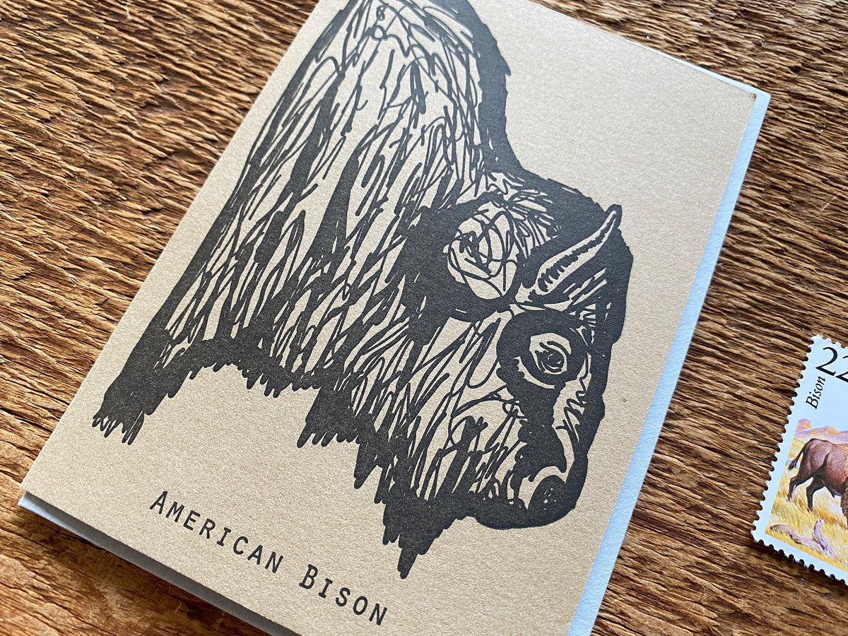American Bison Greeting Card – Noteworthy Paper & Press