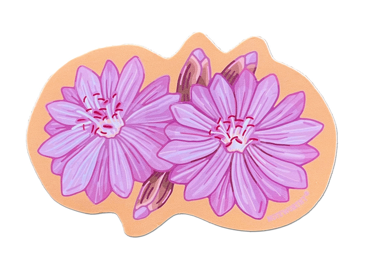 Bitterroot Sticker – Noteworthy Paper & Press