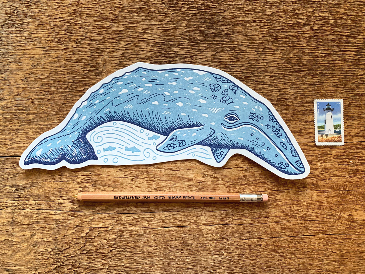 Gray Whale Postcard – Noteworthy Paper & Press